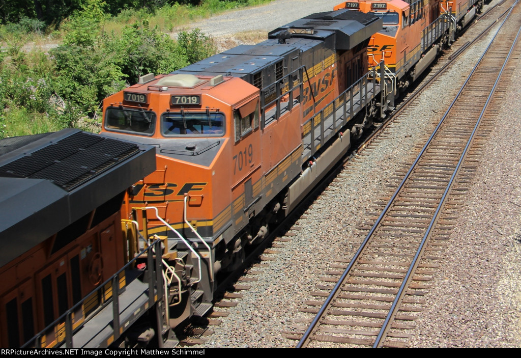 BNSF 7019